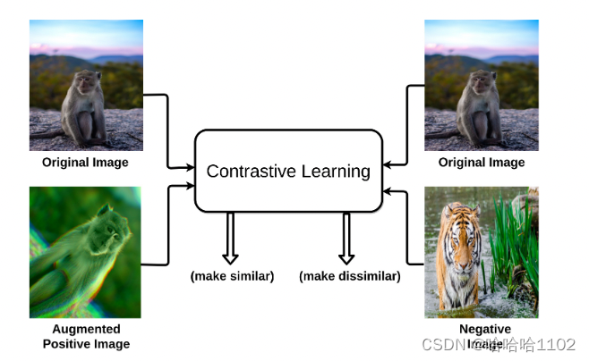 【自监督学习综述】A Survey on Contrastive Self-Supervised Learning-CSDN博客