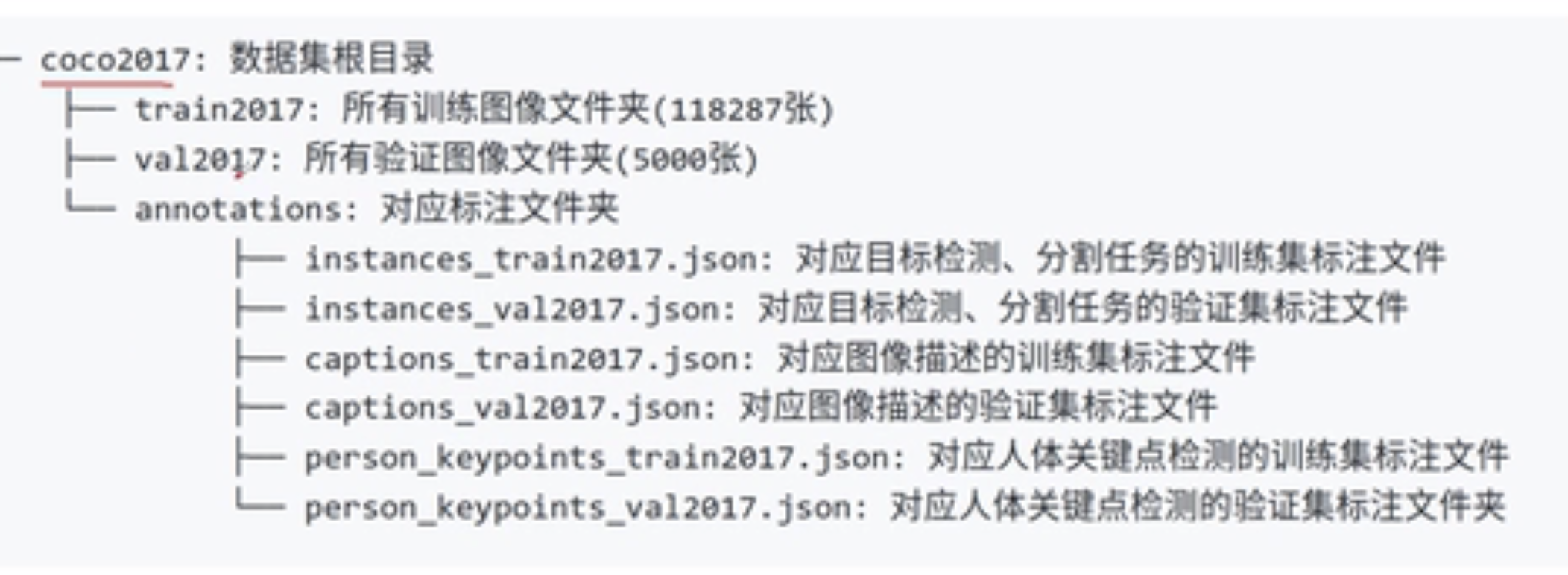 CoCo数据集解读_coco数据集标准化-CSDN博客