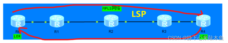 MPLS——LDP协议_静下心来敲木鱼的博客-CSDN博客