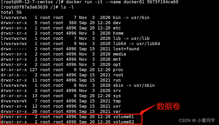 Docker 数据卷容器 Csdn博客