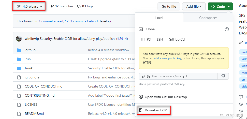 基于OBS和SRS进行推流和webrtc拉流_obs webrtc-CSDN博客