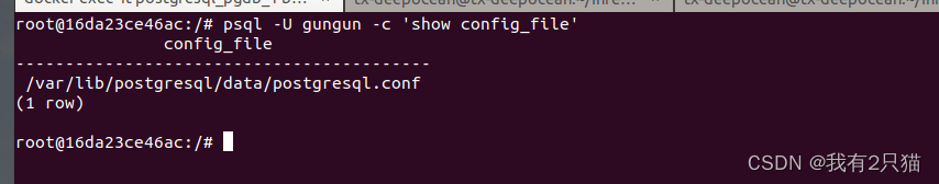 【干货！ 最详细教程】Dockerfile postgresql 安装 wal2json 插件-CSDN博客