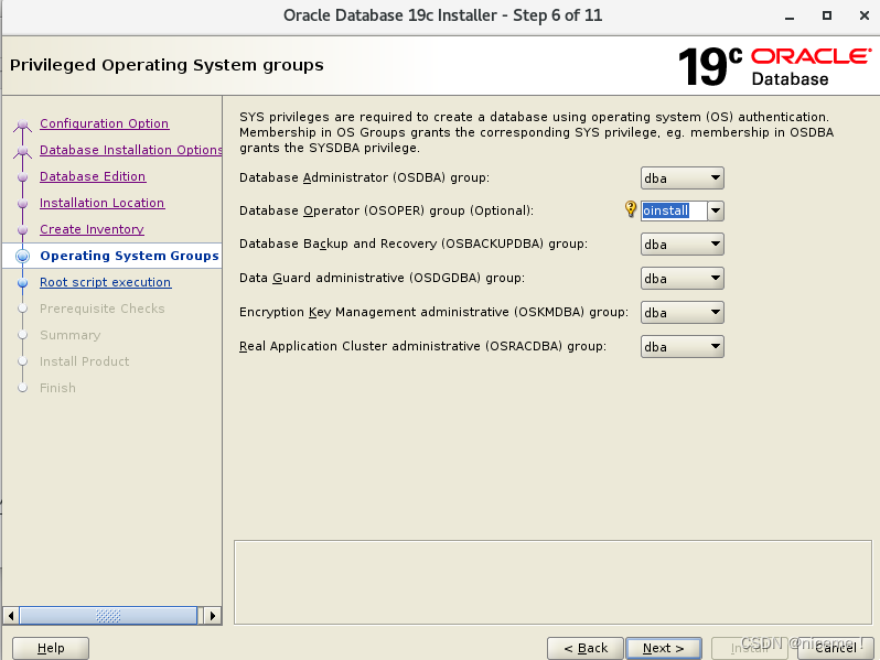 oracle 19c容器数据库安装与配置_oracle19c容器数据库-CSDN博客