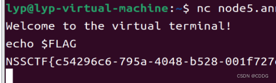 nss_pwn部分题解_[watevrctf 2019]voting machine 2-CSDN博客