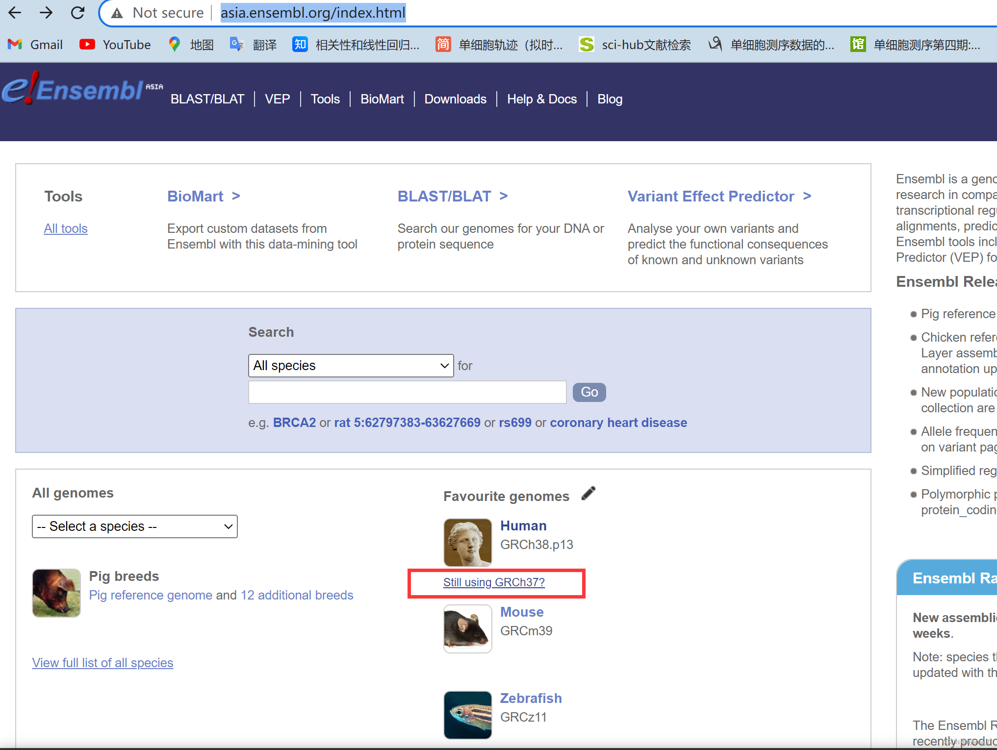 如何下载Homo_sapiens.GRCh38.100.gtf.gz和Homo_sapiens.GRCh37.87.gtf.gz参考基因组注释文件_ensemble数据库grch37-CSDN博客