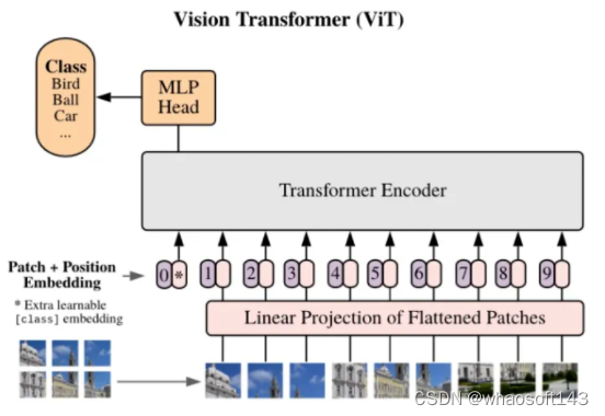 EfficientViT_efficientvit测试-CSDN博客
