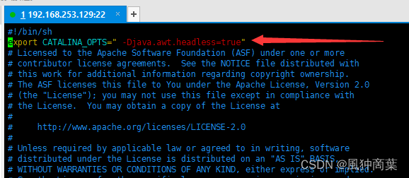Tomcat 部署 Jenkins 启动页面报错_java.awt.awterror: can't connect to x11 window ser-CSDN博客