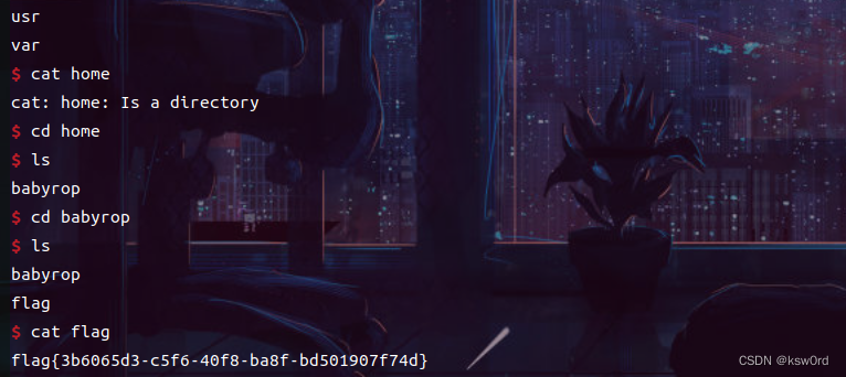 [CTF]BUUCTF-PWN-[HarekazeCTF2019]baby_rop1-CSDN博客