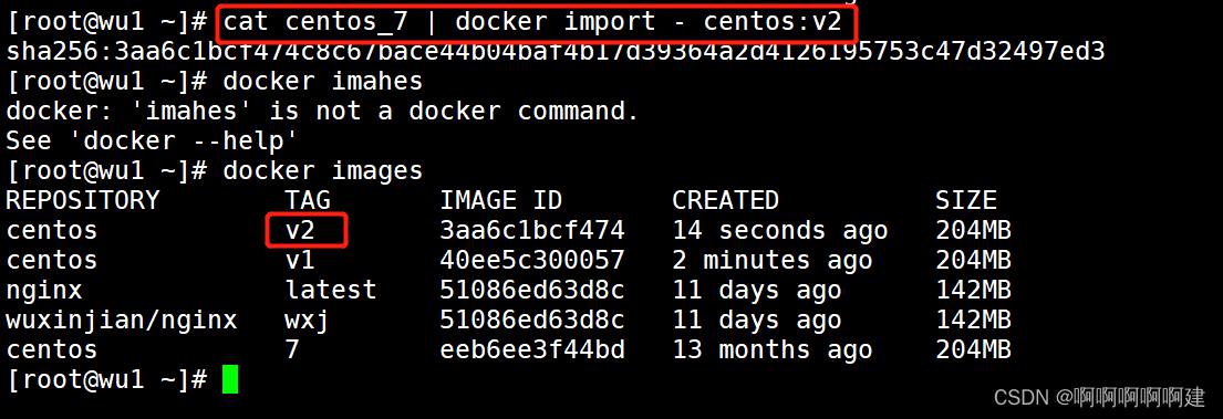 Docker镜像&容器操作_docker通过镜像创建容器的位置-CSDN博客