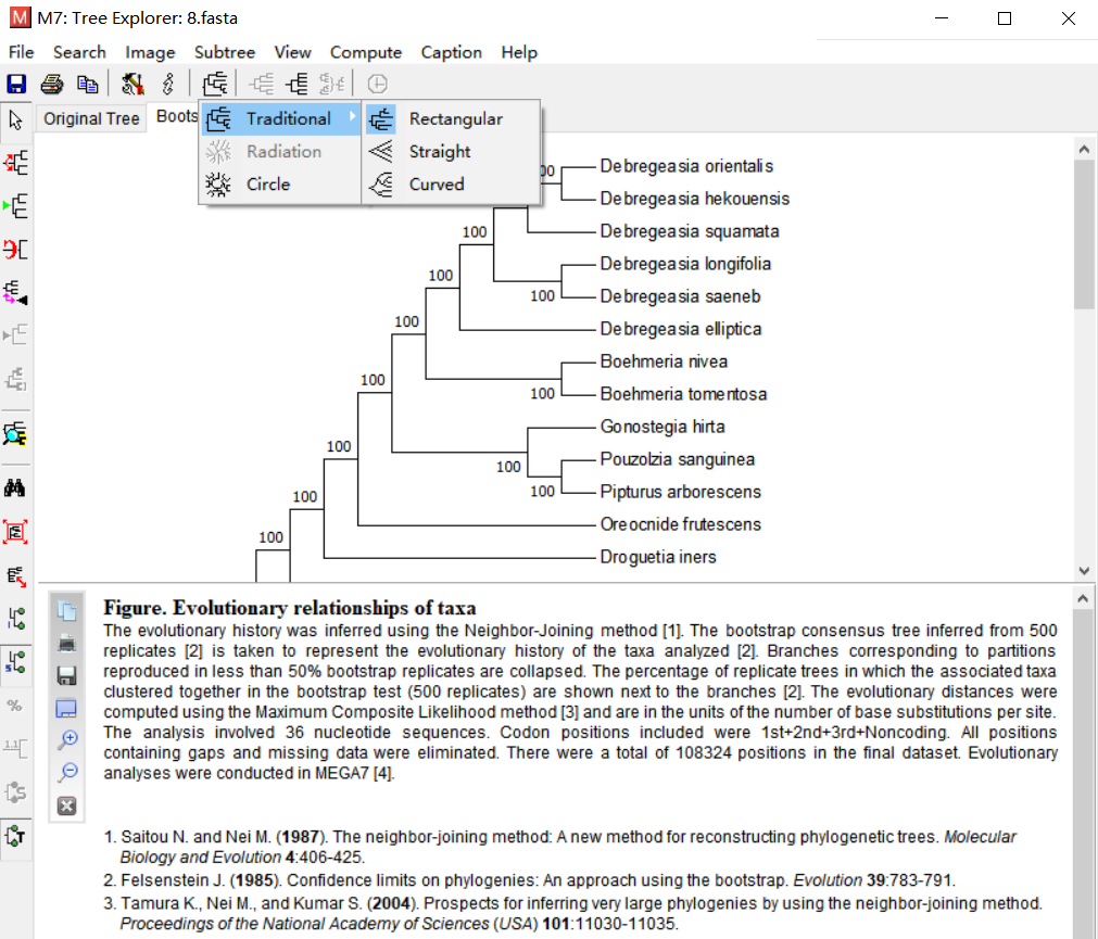 NJ法，ML法构建系统发育树~MEGA7.0，iqtree(图文教程)-CSDN博客