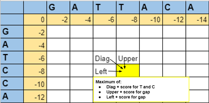 （六）R语言生物序列比对——Needleman-Wunsch全局比对算法_needleman-wunsch global align nucleotide sequences-CSDN博客