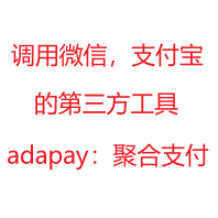 PHP 实现汇聚adapay调用微信支付_php接入adapay-CSDN博客
