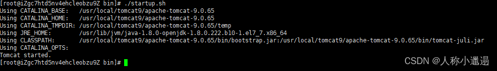 2023-linux安装tomcat（手动下载安装）以及配置_tomcat 9下载-CSDN博客