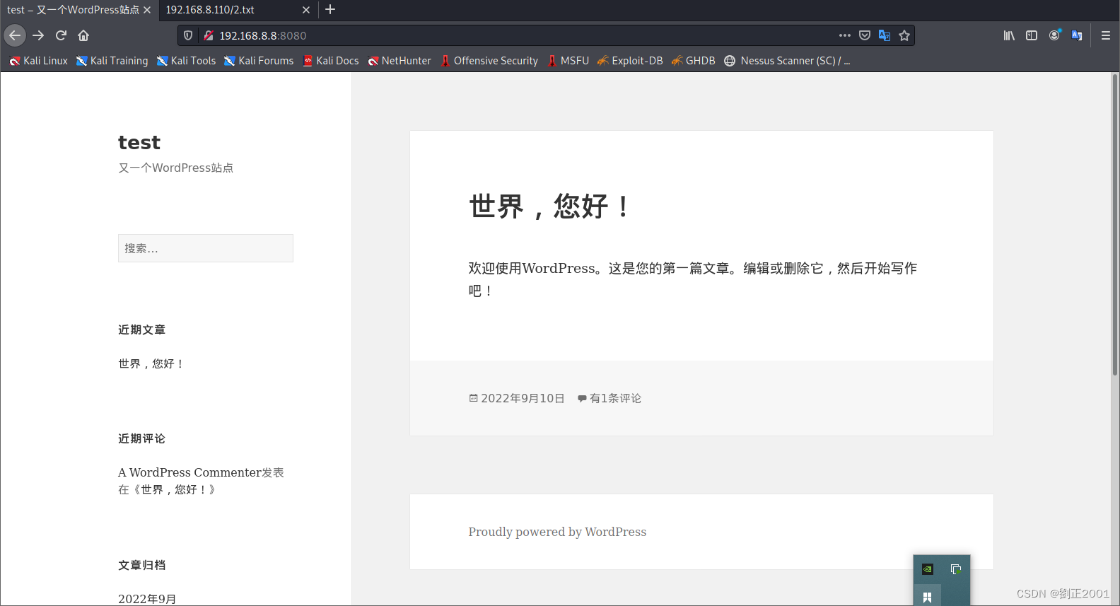 Wordpress漏洞复现 Csdn博客