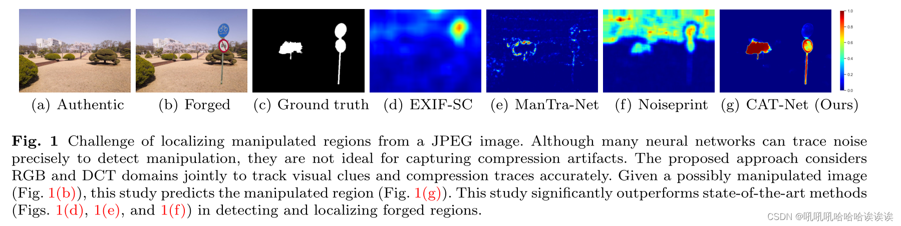 Learning JPEG Compression Artifacts for Image ManipulationDetection and Localization-CSDN博客