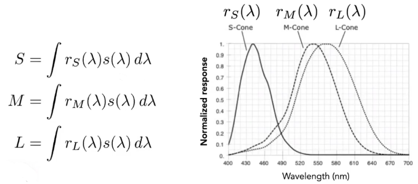 图形学笔记（十八）光场、颜色和感知—— 光场相机（全光函数、光线和光场的定义）、可见光谱、谱功率密度、颜色的生物学基础、Tristimulus ...