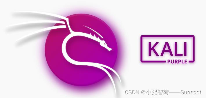 Kali Linux Release防御版本的详细使用与安装 Kali Purple-CSDN博客
