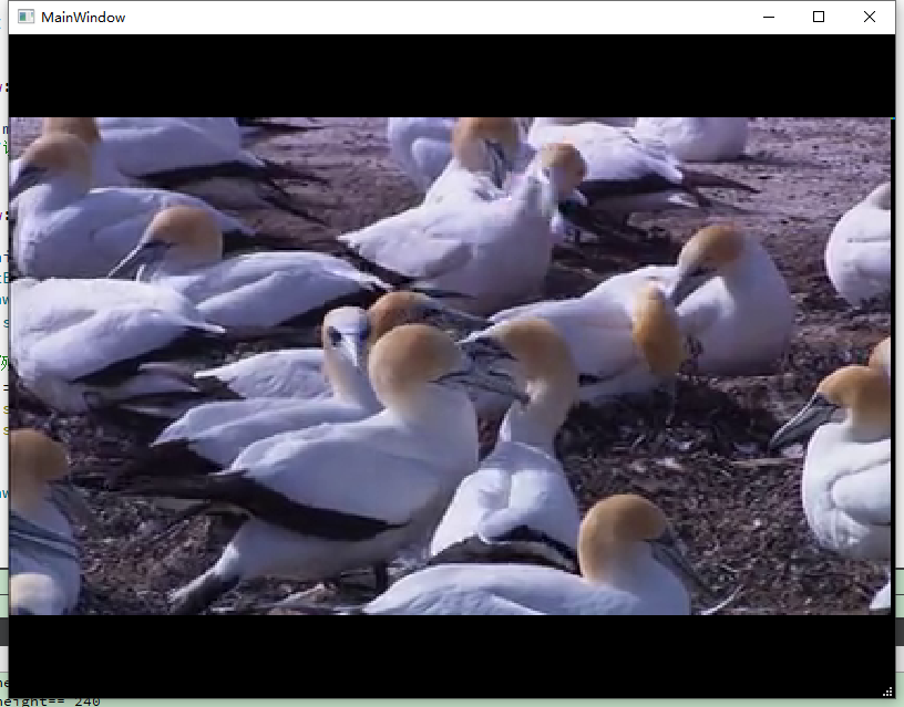 Qt 使用ffmpeg + QPainter 绘图播放视频_qpainter drawimage 播放视频-CSDN博客