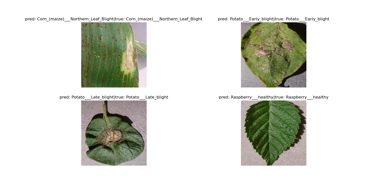 【pytorch】resNet152迁移学习实现植物病害图像识别分类_植物疾病识别项目代码-CSDN博客