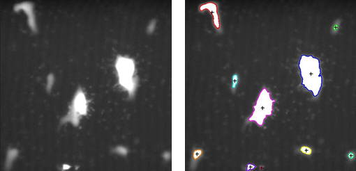 Halcon之Blob分析_halcon blob分析-CSDN博客