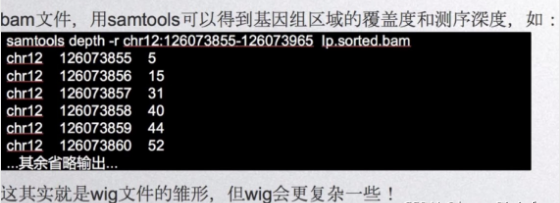 NGS数据分析实践：03. 涉及的常用数据格式[4] - bed和Wiggle/Bigwig/bedgraph格式_bed文件转换为bigwig-CSDN博客