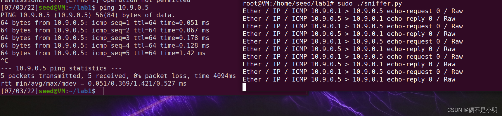 Lab1 Packet Sniffing and Spoofing Lab-CSDN博客