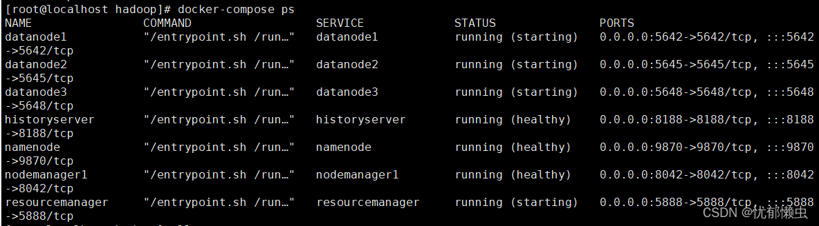 Hadoop集群搭建(基于docker Compose) Bde2020 Docker Csdn博客