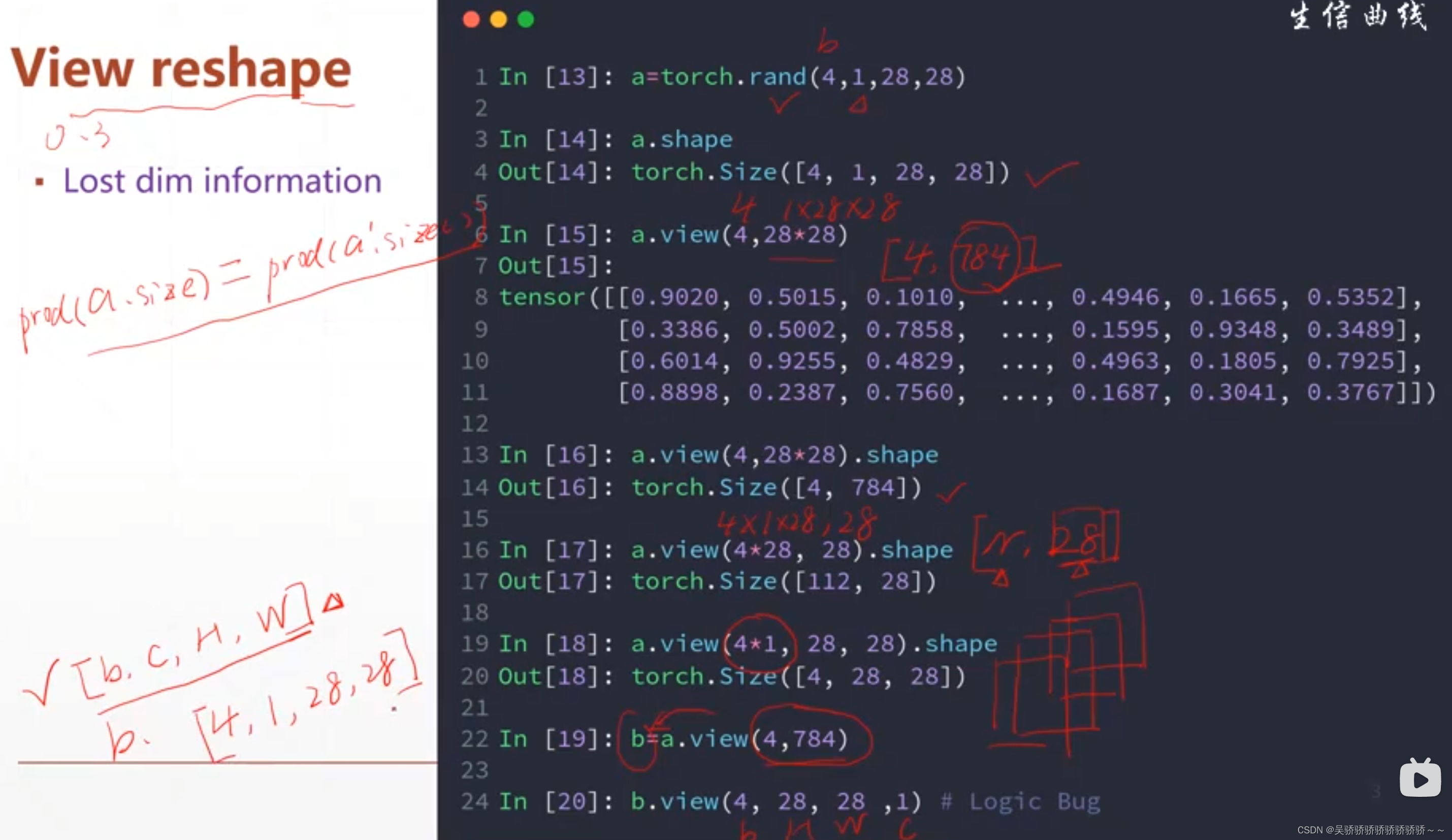 pytorch入门_tensor的维度-CSDN博客