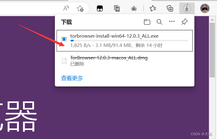 tor浏览器官网地址_tor登录入口-CSDN博客