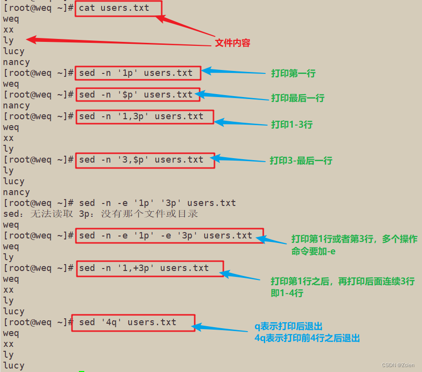 shell文本处理三剑客之——sed编辑器_shell 编辑文本-CSDN博客