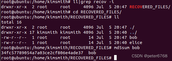 高性能linux服务构建 3数据库安全工具DRBD extundelete_extundelete安装-CSDN博客