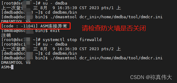 DM8:DMDSC共享存储集群搭建-实例初始化（详细步骤）_dm8 dsc 集群 nas共享盘-CSDN博客