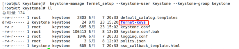 OpenStack之keystone（身份认证服务）_keystone-manage_大西瓜不爱告诉你姓名的博客-CSDN博客