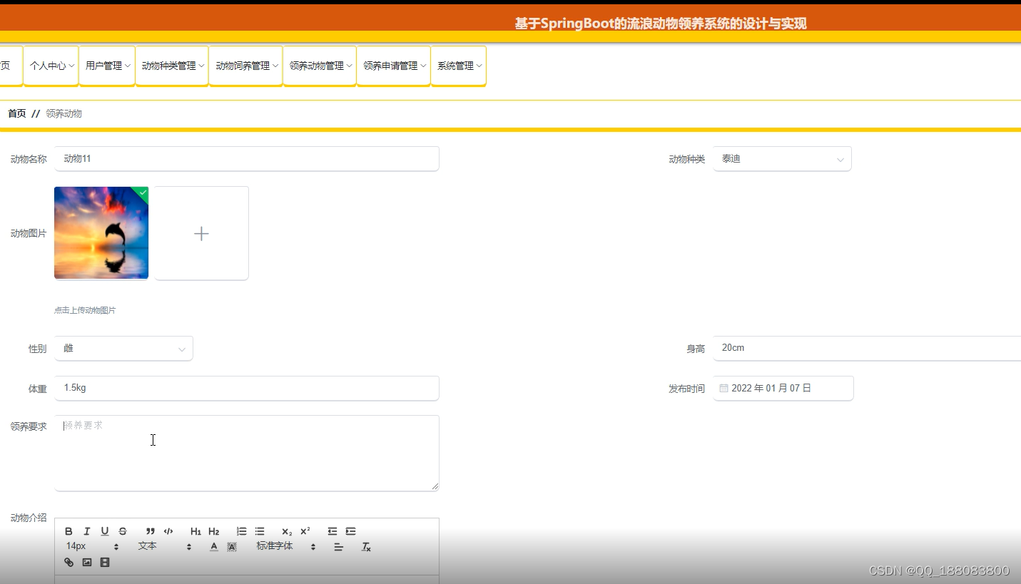 php+django+python+nodejs基于 vue+SpringBoot的流浪动物领养推荐系统-CSDN博客