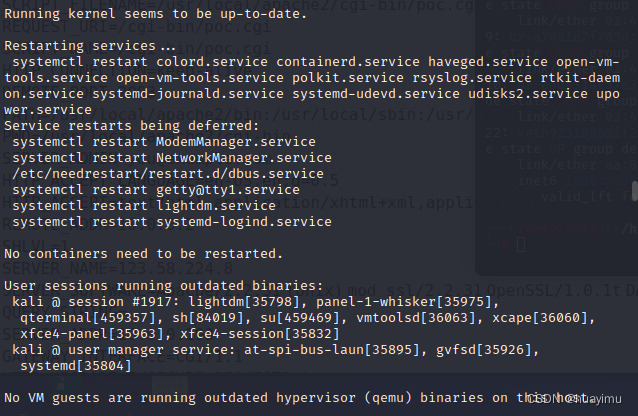 Dnscat2实现DNS隐蔽隧道反弹Shell-CSDN博客