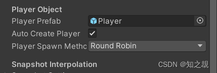 学习使用Unity3D中Network Manager组件_unity networkmanager-CSDN博客