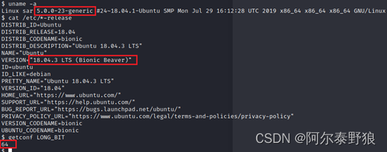 实战打靶集锦-012-sar2HTML-CSDN博客