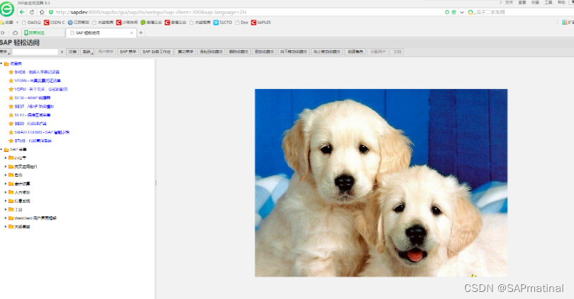 SAP 如何启用WEBGUI_sap webgui-CSDN博客