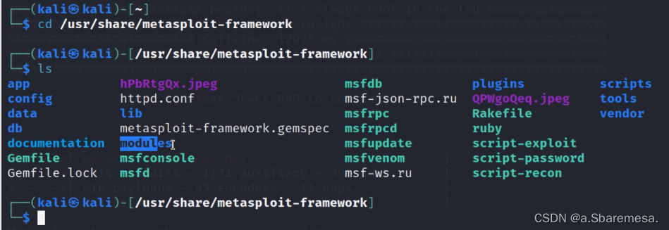 kali的使用之metasploit的认识笔记_metaslpoit-CSDN博客