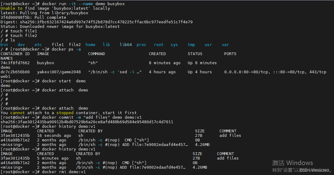 Docker容器技术_a web server docker images-CSDN博客