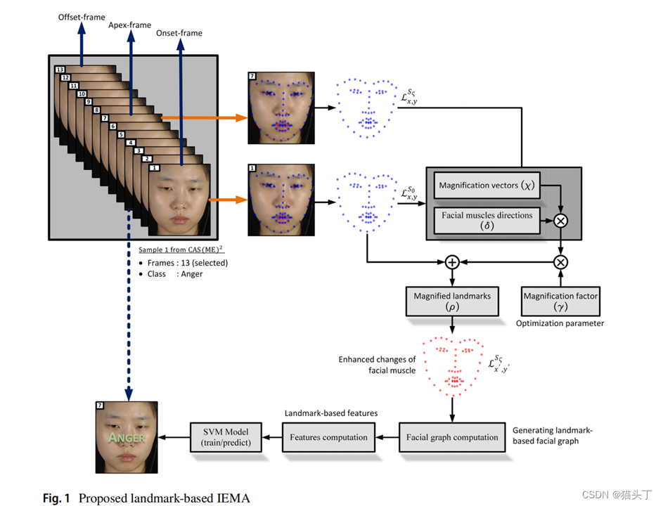 【菜鸡读论文】Invisible emotion magnification algorithm (IEMA) for real‑time micro‑expression ...