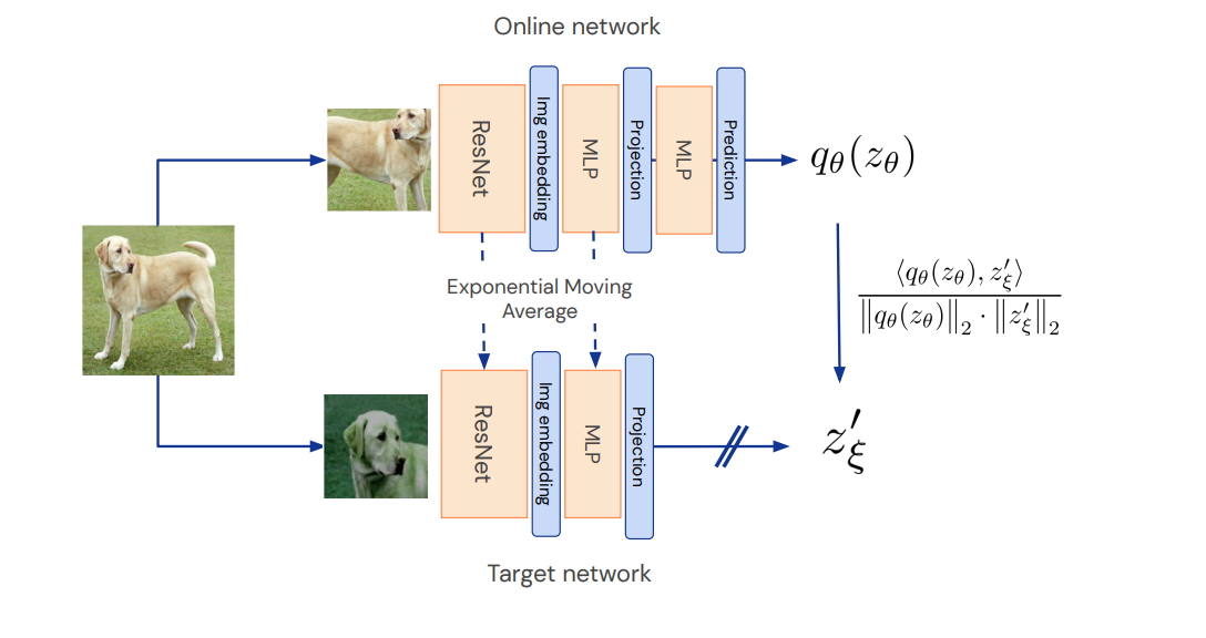 对比学习系列（四）---BYOL-CSDN博客
