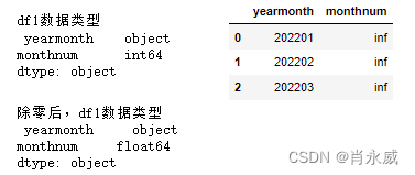 Pandas数据类型自行变换及数据类型转换失败情况分析与解决方法_dataframe无法转换为float-CSDN博客