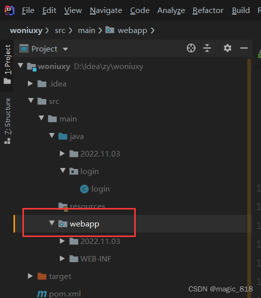 IDEA的使用及Web项目构建_idea 原项目新加webapp-CSDN博客