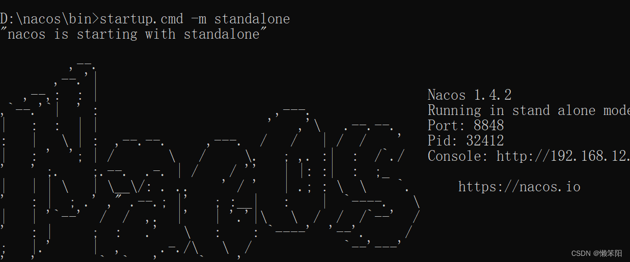 Nacos服务注册中心_his_config_info config_info_route_懂Java的懒阳阳的博客-CSDN博客