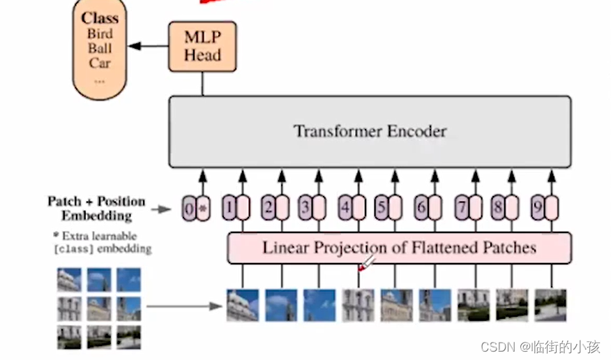 transformer在图像领域中的应用_transformer处理图像数据-CSDN博客
