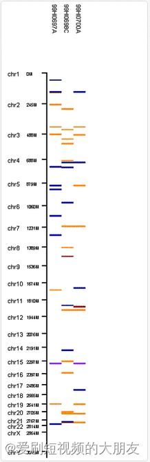 CNV学习6（在 Illumina BeadStudio/GenomeStudio 软件中运行 PennCNV ）-CSDN博客
