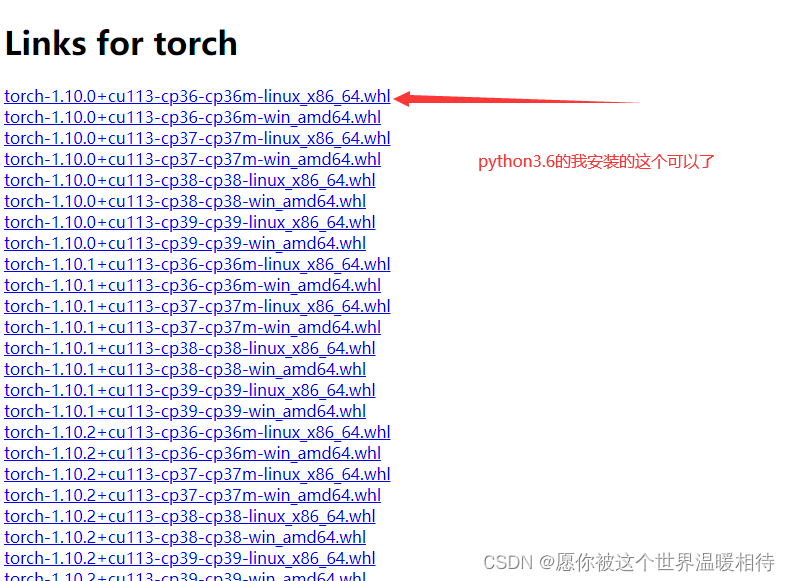 深度学习问题1：ERROR: torch-1.10.0+cu113-cp39-cp39-linux_x86_64.whl is not a supported wheel on this ...