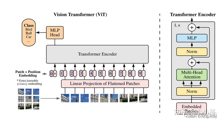 VIT、CILP、Swin Transformer、MAE模型论文阅读笔记_vitmae大模型-CSDN博客